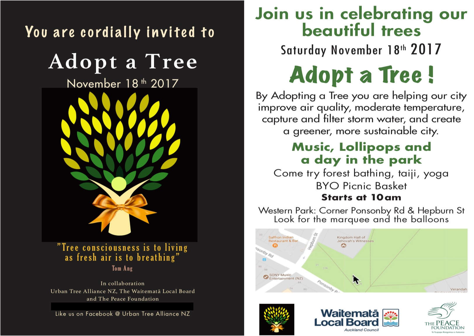 Adopt a tree – Working to save Auckland's trees